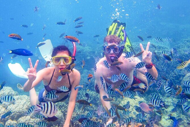 Da Nang/Hoi An: Cham Island Snorkeling, Sunbathing, Nice Beaches - Exploring Cham Island and Its Highlights
