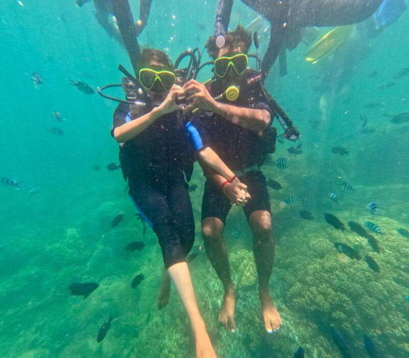 Da Nang/Hoi An: Cham Island Speedboat Tour with Snorkeling - Itinerary Breakdown and What It Means for You