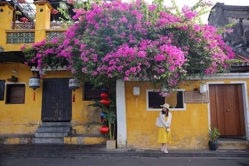 Da Nang Hoi An City Shore Excursion Tour From Tien Sa Port - Key Points