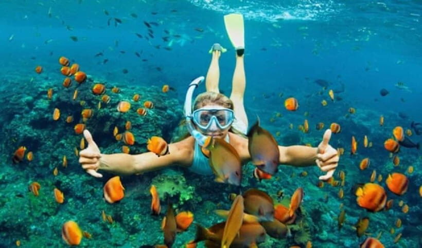 Da Nang/Hoi An: Diving in Cham Islands with an instructor - Key Points