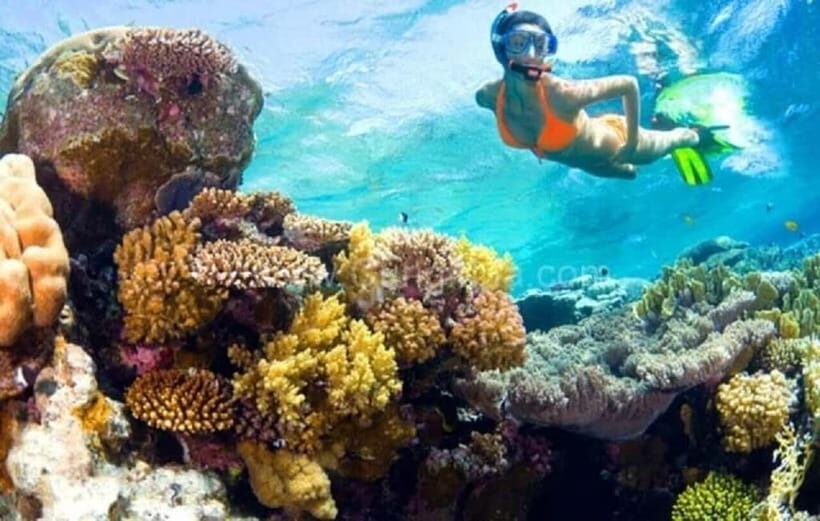 Da Nang/Hoi An: Diving in Cham Islands with an instructor - Additional tips for travelers