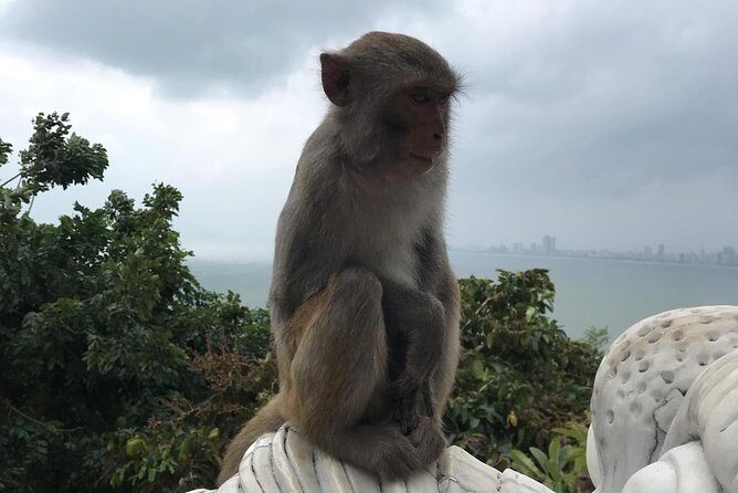 Da Nang Hotel To Hoi An Old Town And Back Da Nang - Key Points