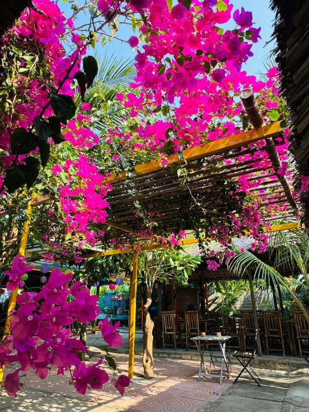 Da Nang: Marble Mountains, Hoi An, and Coconut Forest Tour - The Scenic Journey to Coconut Forest