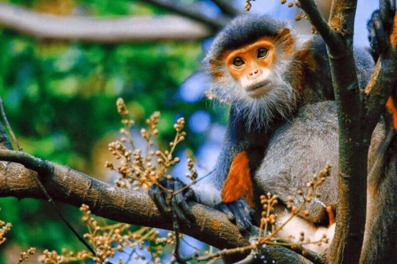 Da Nang: Private Half-day City Highlights Tour - Key Points