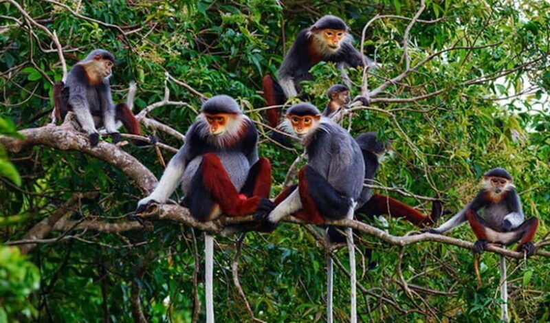 Da Nang: Private Half-day City Highlights Tour - Practical Details and Value