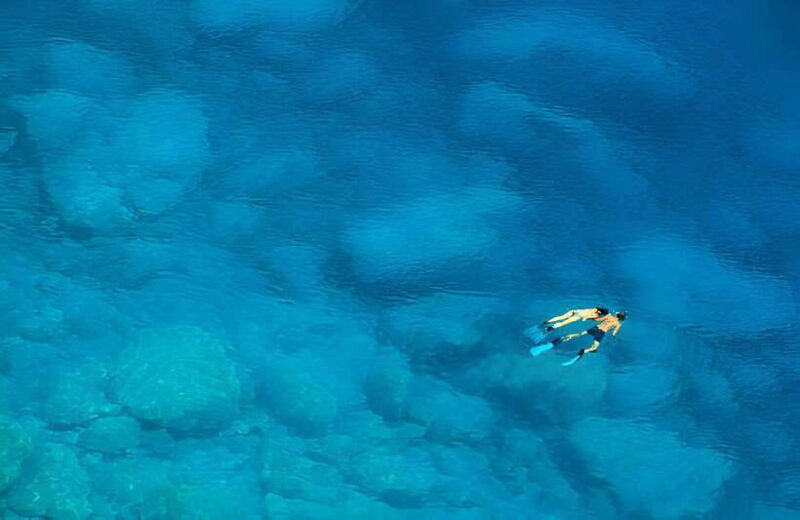 Da Nang: Son Tra Peninsula Exploration - Snorkeling, Fishing - Practical Aspects and What You Should Know