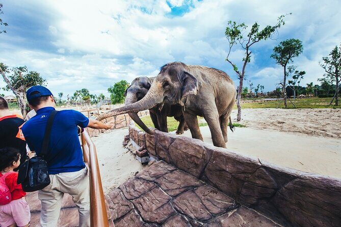 Da Nang: South Hoi An River Safari With Candle-lit Beach Dinner - Detailed Review of the Experience