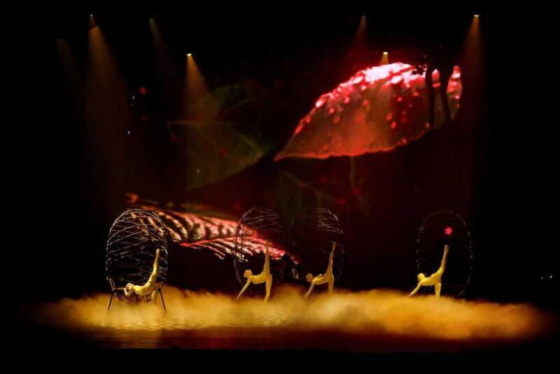 Da Nang: Tiên Sa Show Ticket - Authentic Insights from Reviews