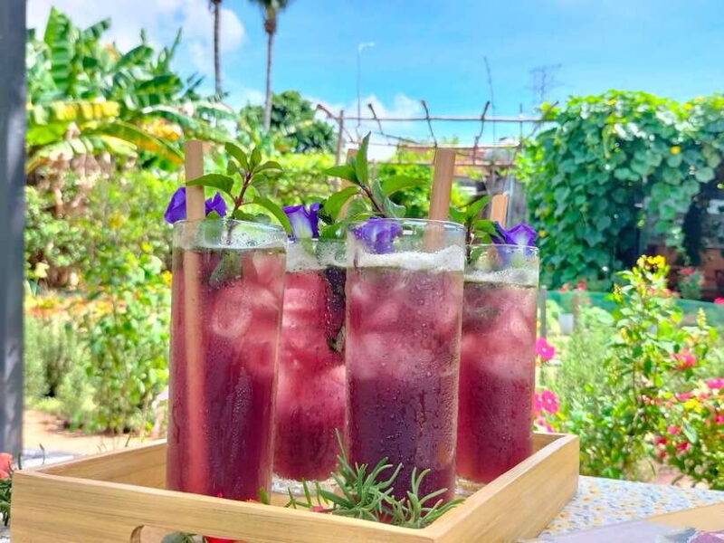 Da Nang Vegetarian Cooking and coffee Class - Who Will Love This Experience?