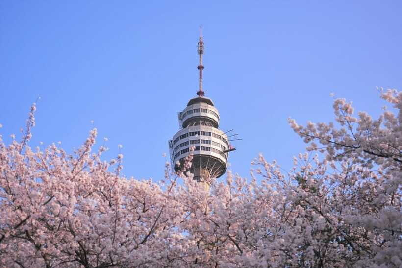 Daegu: Private Taxi Tour Car Charter - Wrapping Up