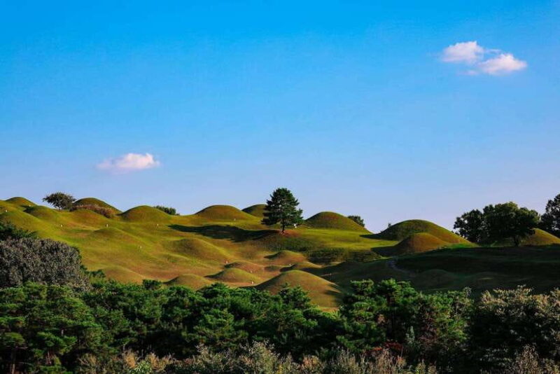 Daegu: Private Taxi Tour Car Charter - What Travelers Say