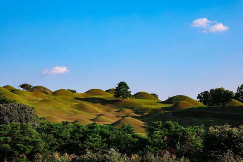 Daegu: Private Taxi Tour Car Charter - Practical Tips for Your Tour