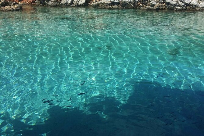 Daily Boat Trip in Bodrum With Lunch - Activities and Experiences on the Cruise