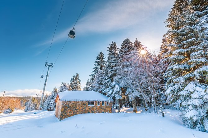 Daily Bursa and Uludag Tour - Customer Feedback and Experiences