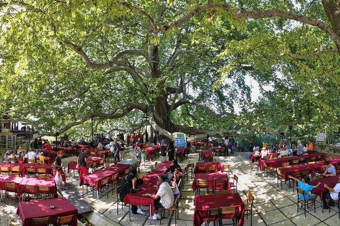 Daily Bursa Uludag Mountain & Cable Car Tour With Lunch From Istanbul - Additional Information