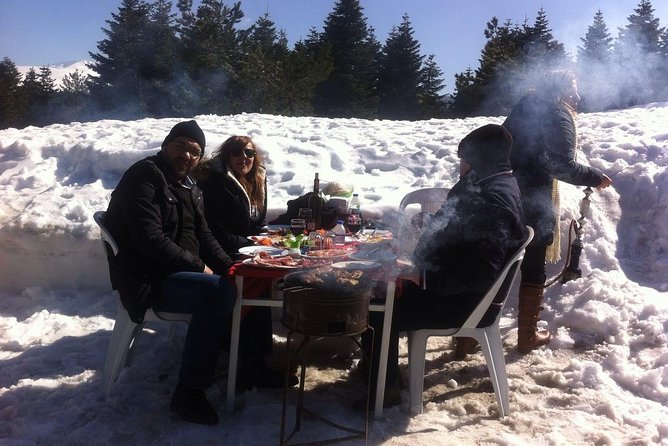 Daily Bursa Uludag Tour - Accessibility and Participant Details