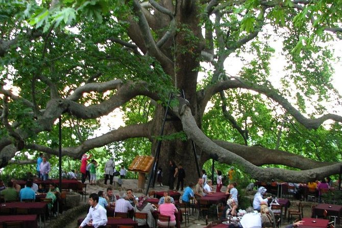 Daily Bursa Uludag Tour - Dietary Options and Accommodations