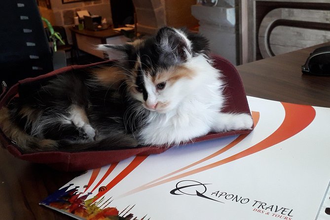 Daily Cappadocia North Tour - Traveler Requirements and Accessibility