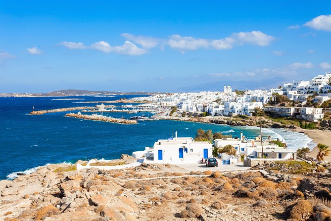 Daily Cruise from Paros to Delos Mykonos - Final Thoughts
