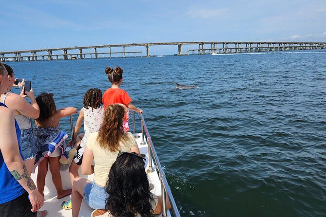 Daily Dolphin Cruise + Sightseeing Tour on Pensacola Beach - What Travelers Are Saying