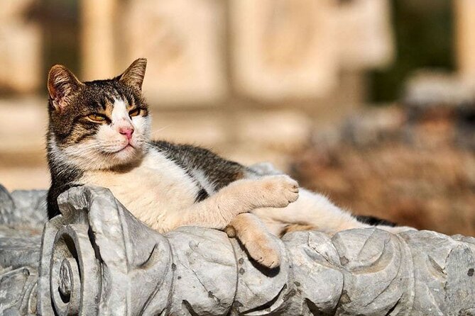 Daily Ephesus and Virgin Mary House Tour with Lunch Included - Final Thoughts: Is This Tour for You?