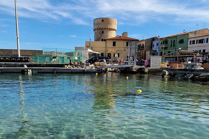 Daily excursions and guaranteed fun in Argentario - FAQs