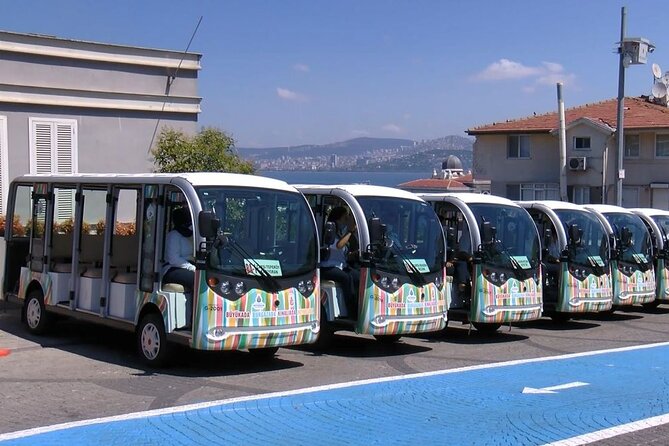 Daily Princes Islands Tour With Lunch From Istanbul - Inclusions