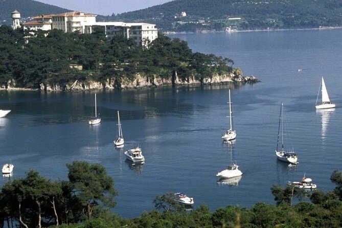 Daily Princes Islands Tour With Lunch From Istanbul - Highlights of the Tour