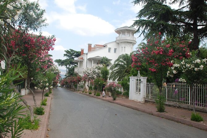 Daily Princes Islands Tour With Lunch From Istanbul - Why Choose This Tour