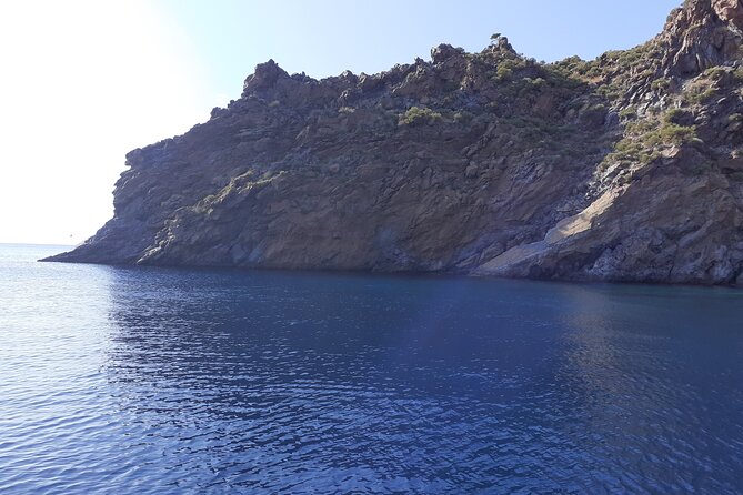 Daily Sailing Tour in Palermo With Lunch. - Customer Feedback
