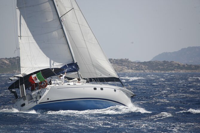 Daily Sailing Trip in the La Maddalena Archipelago - Customer Reviews and Ratings