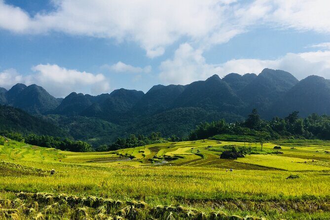 Daily Shuttle Bus Transfer Hanoi to Pu Luong or return - Who Should Consider This Service?