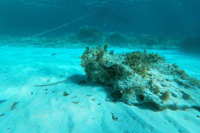 Daily tour in dinghy Favignana and Levanzo - FAQ