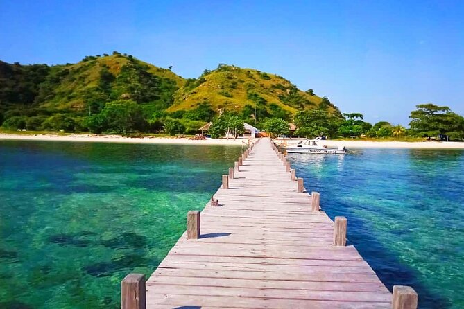 Daily Trip Highlight Komodo Archipelago by Speed Boat - The Cost and Its Value