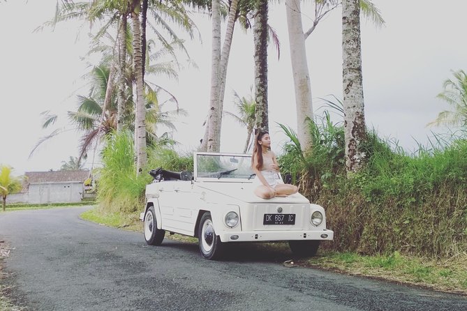 Daily VW Tour - Ubud VW Tour - Who Should Book This Tour?