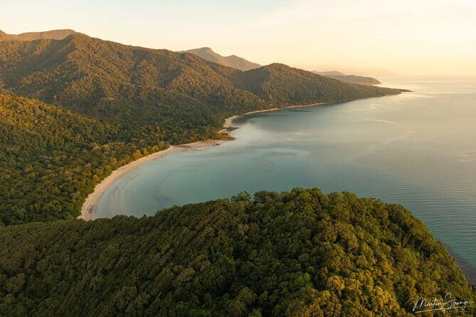 Daintree Ancient Giants Easy Rainforest Hike, Beach, Swim & Lunch - Key Points