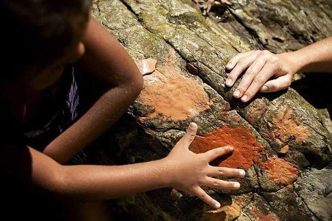 Daintree Ancient Giants Easy Rainforest Hike, Beach, Swim & Lunch - Who Should Consider This Tour?