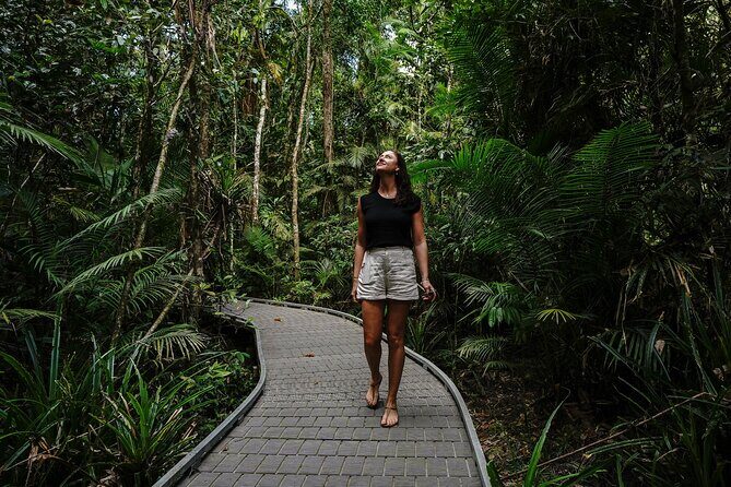 Daintree, Cape Tribulation & River Cruise from Port Douglas - Practicalities and Tips