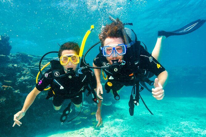 Daintree, Cape Tribulation & River Cruise from Port Douglas - Who Should Consider This Tour?