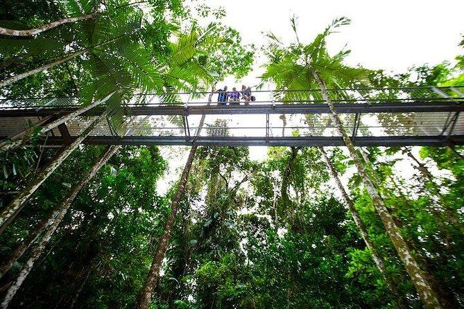 Daintree Discovery Centre Family Pass Ticket - Discovering the Daintree Rainforest Through Its Highlights