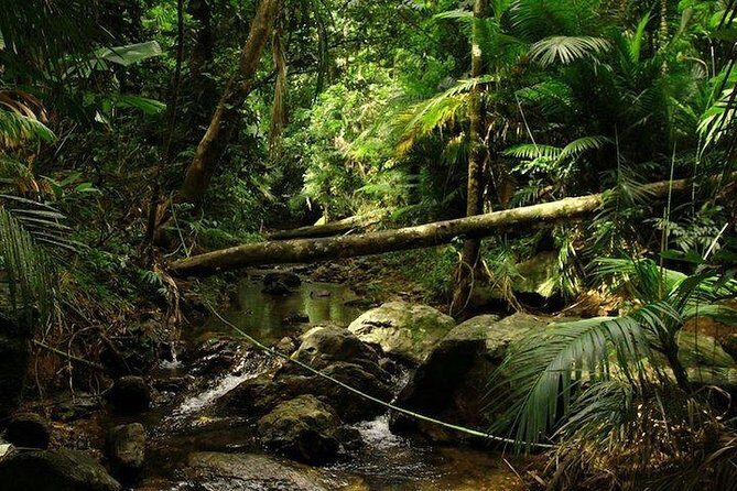 Daintree Discovery Centre Family Pass Ticket - FAQ