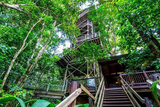 Daintree Discovery Centre Single Pass - A Practical Guide to the Daintree Discovery Centre Single Pass
