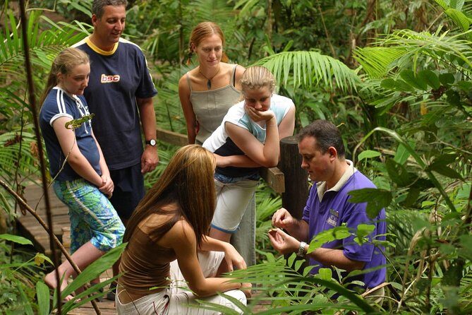 Daintree Discovery Centre Single Pass - Why This Tour Is a Good Choice
