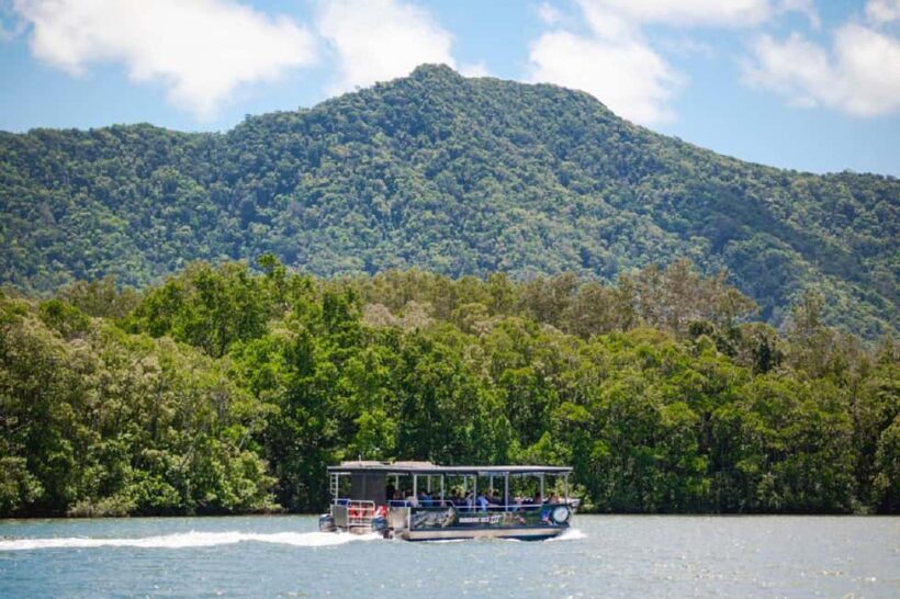 Daintree: Guided Daintree River Wildlife Cruise - Why You Should Consider This Tour