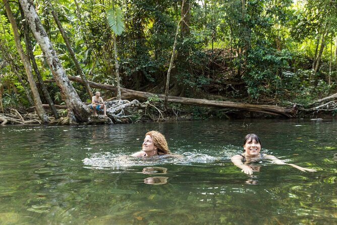 Daintree Rainforest and Cape Tribulation Full Day Tour - An In-Depth Look at the Daintree Rainforest and Cape Tribulation Tour