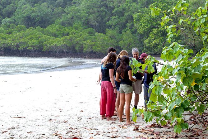 Daintree Rainforest and Mossman Gorge: Full Day Tour - Final Thoughts