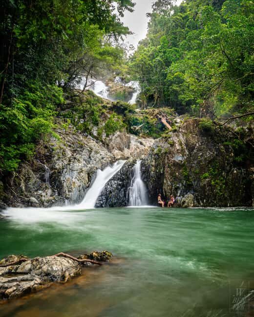Daintree Rainforest: Magic Waterfall Walk with Lunch & Swim - Authenticity and Value