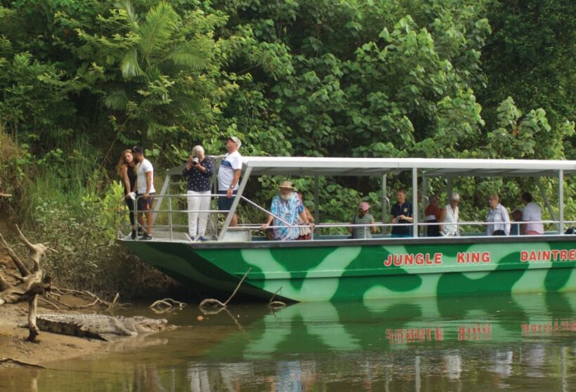 Daintree: River Rainforest Crocodile & Wildlife Cruise (DV) - The Sum Up