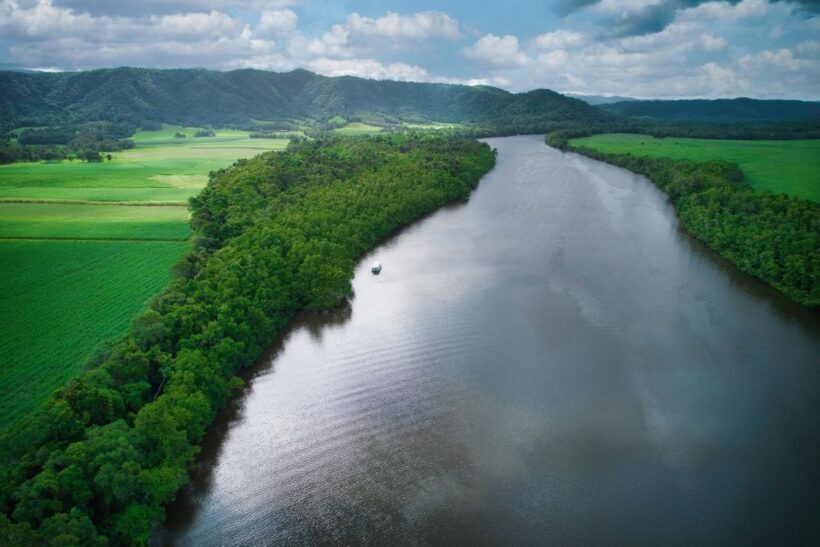 Daintree River Rainforest: Crocodile & Wildlife Cruises (DG) - The Value Proposition