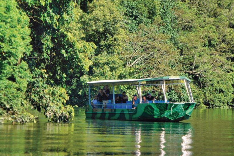 Daintree River Rainforest: Crocodile & Wildlife Cruises (DG) - The Sum Up